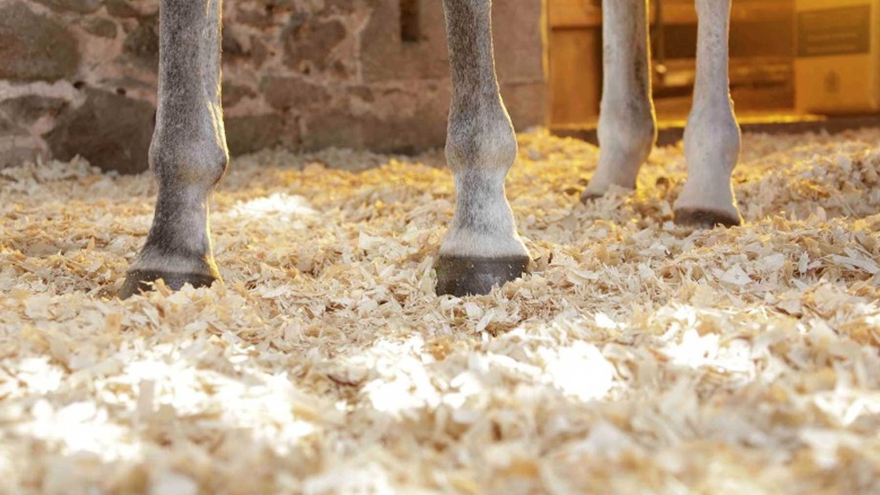 Premium Large Flake Wood Shavings - Ideal for Horse Bedding