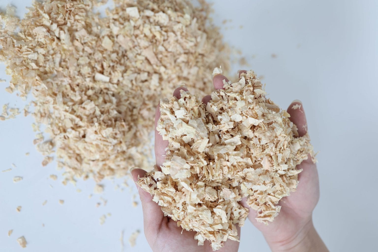 WHY PINE SHAVINGS FOR HORSES ARE THE OPTIMAL CHOICE