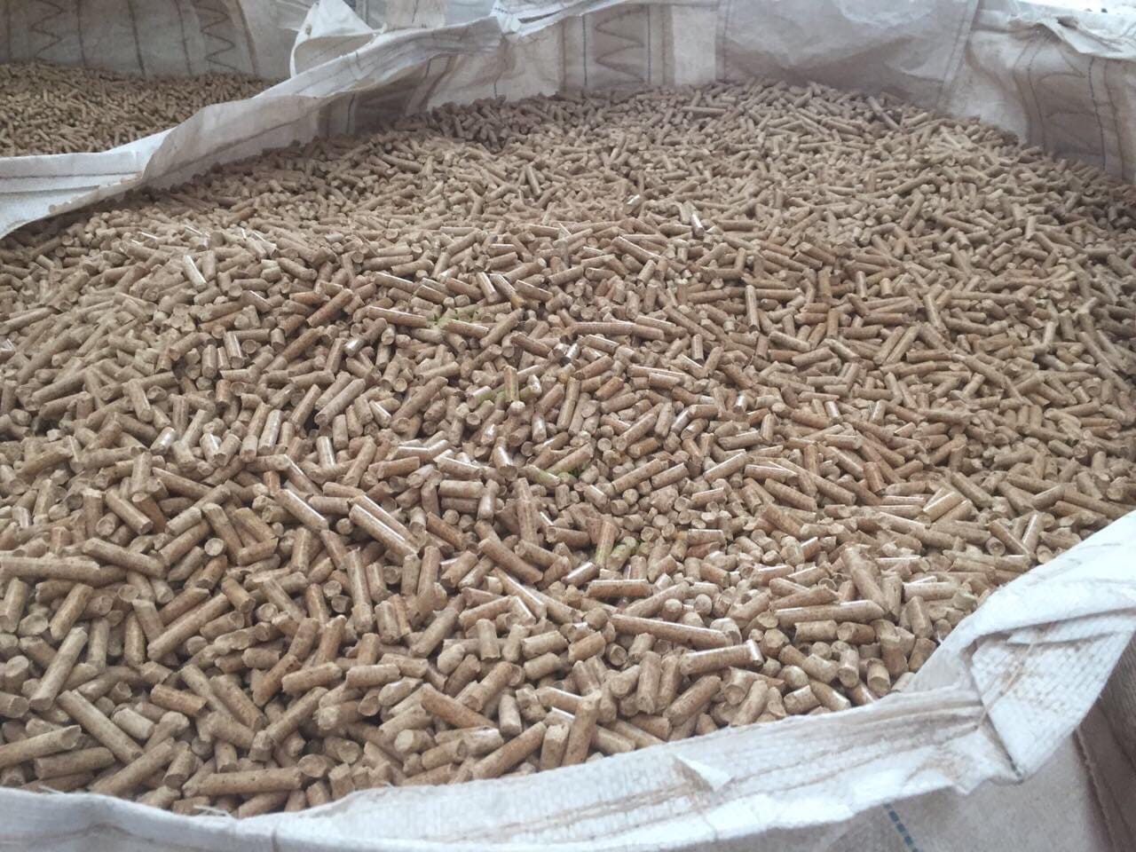 Wood Pellets and Wood Chip: Which is best for Biomass Boiler
