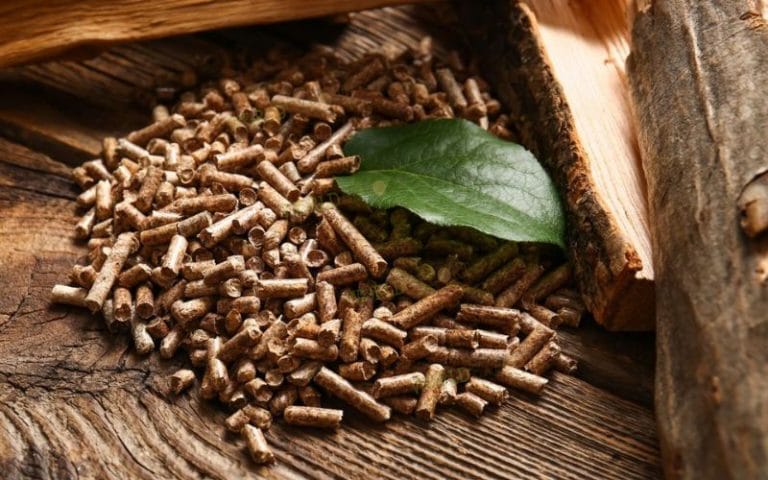 History of Biomass Pellets: A Remarkable Global Evolution