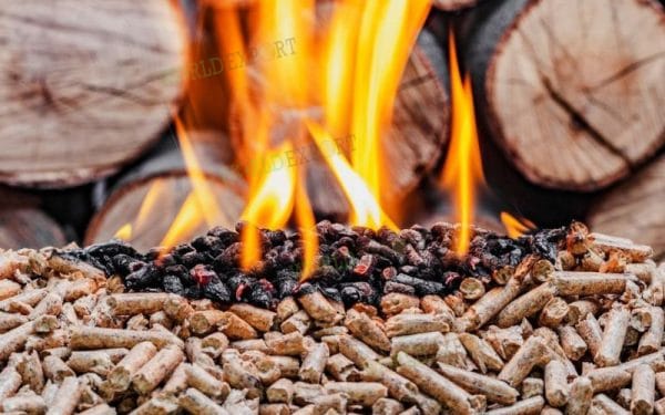 Clean Energy Fuels: Can Wood Pellets Replace Fossil Fuel?