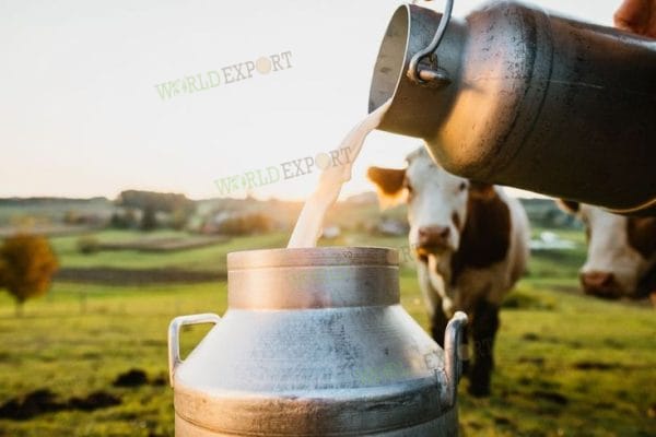What Are the Key Factors Affecting Milk Quality?