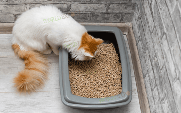 Wood Pellet Cat Litter: Ultimate Guide to Benefits And Usage